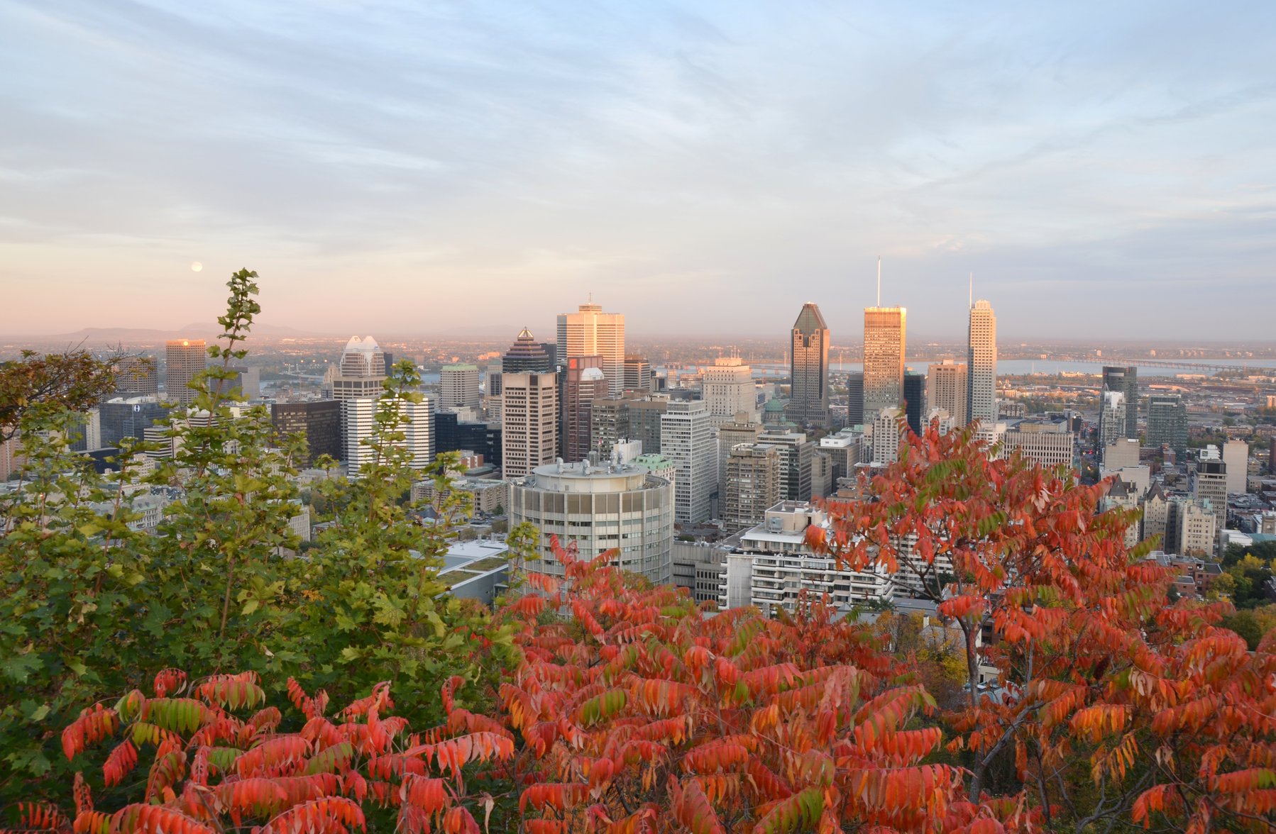 DISCOVER CANADA'S MOST LUXURIOUS DISTRICTS